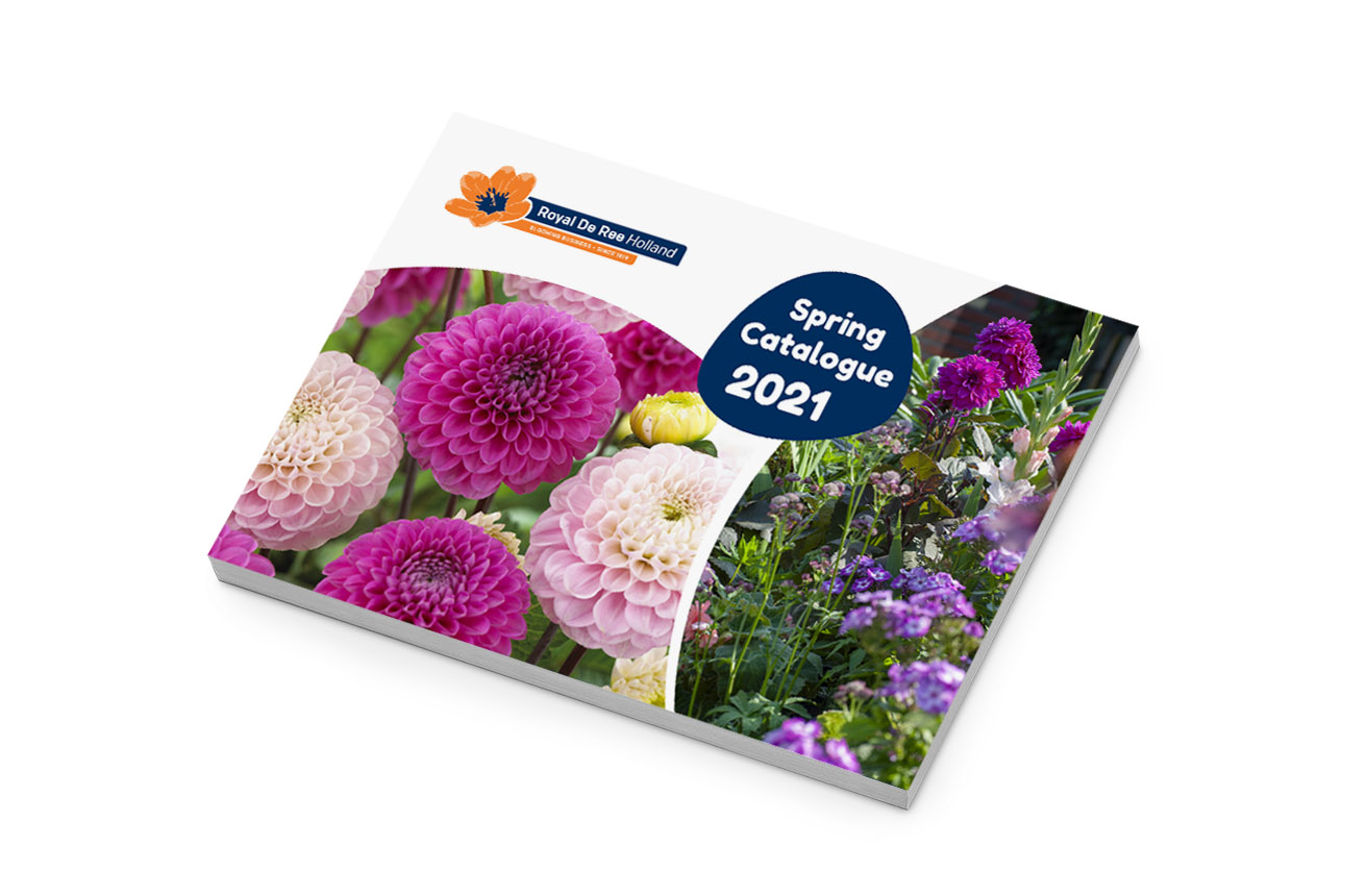 Retail - De Ree Holland
