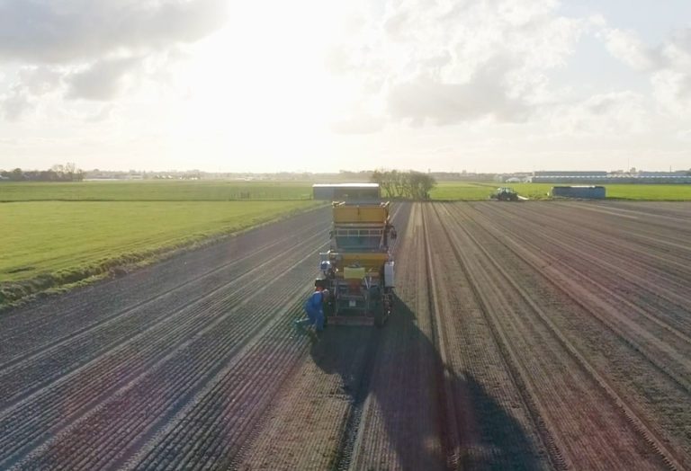 The perfect time to plant the flower bulbs! - De Ree Holland