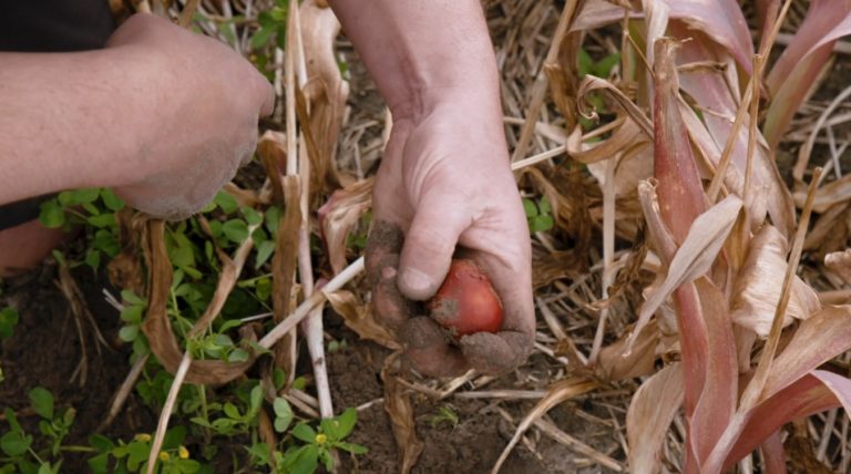 De Ree UK - Blooming Business - Since 1919