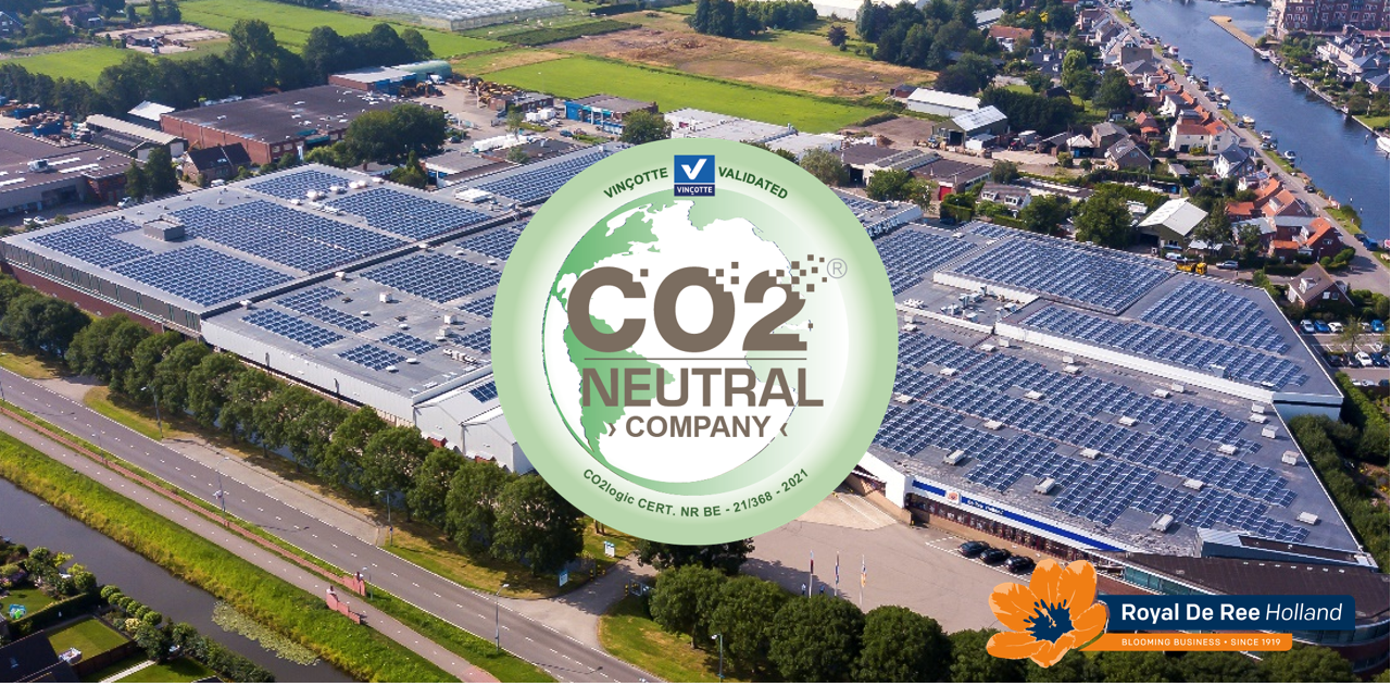 De Ree UK - Blooming Business - Since 1919