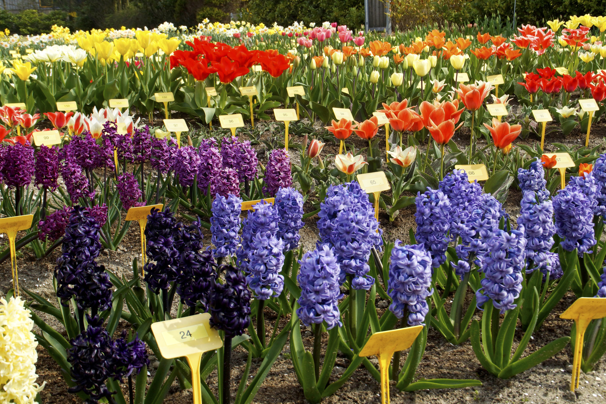 Online Retail - De Ree Holland