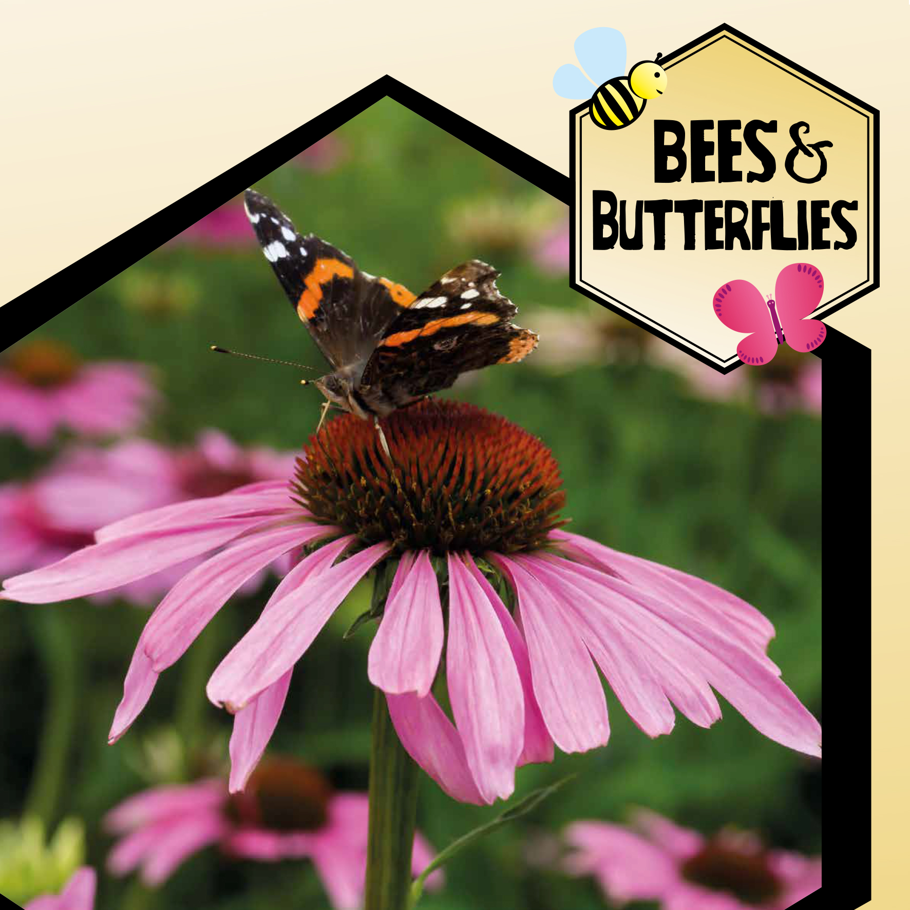 Retail - De Ree Holland