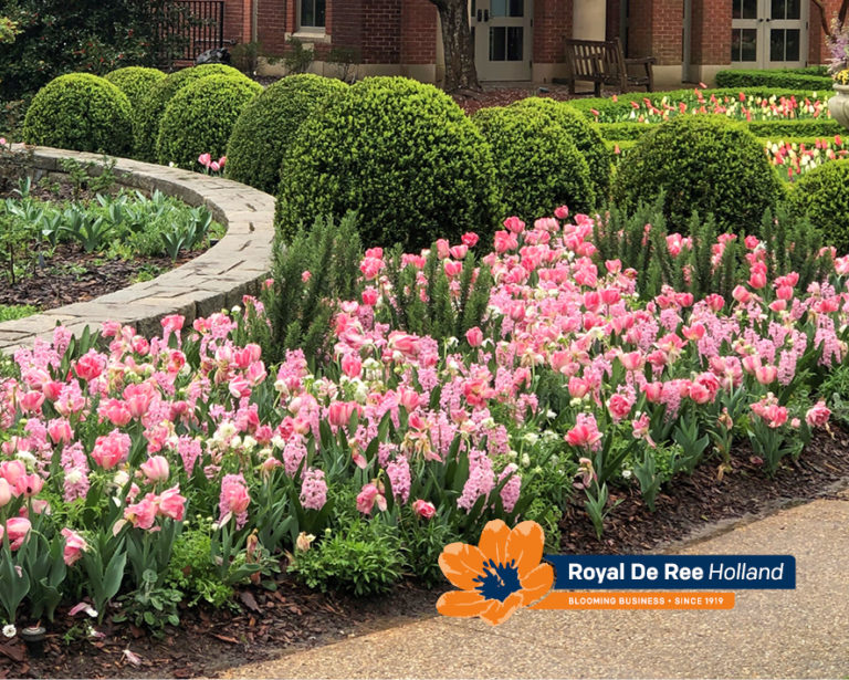 Products - De Ree Holland