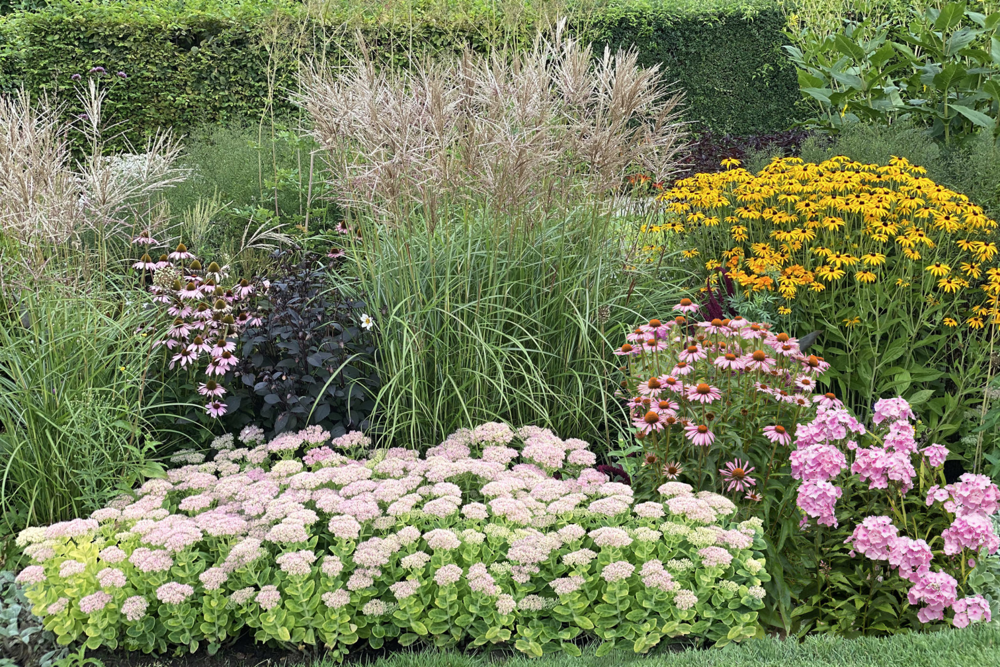 Perennial - De Ree Holland