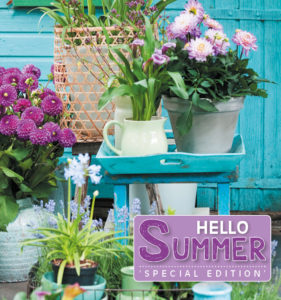 Online Retail - De Ree Holland