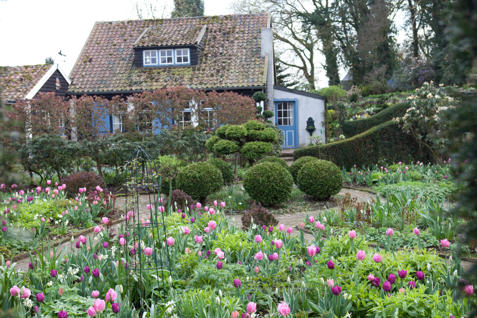 Landscape - De Ree Holland