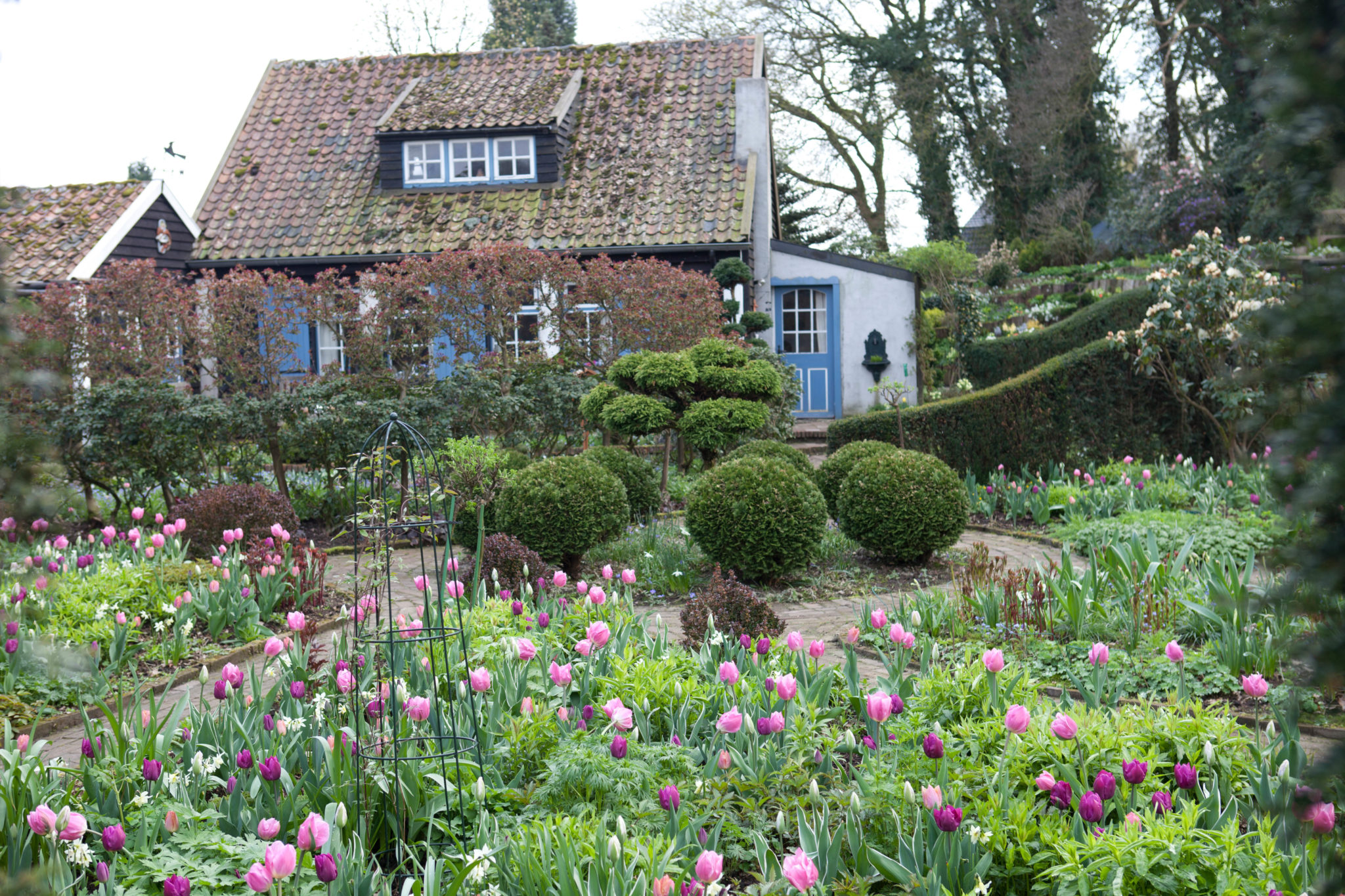 Landscape - De Ree Holland