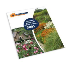 Perennial - De Ree Holland