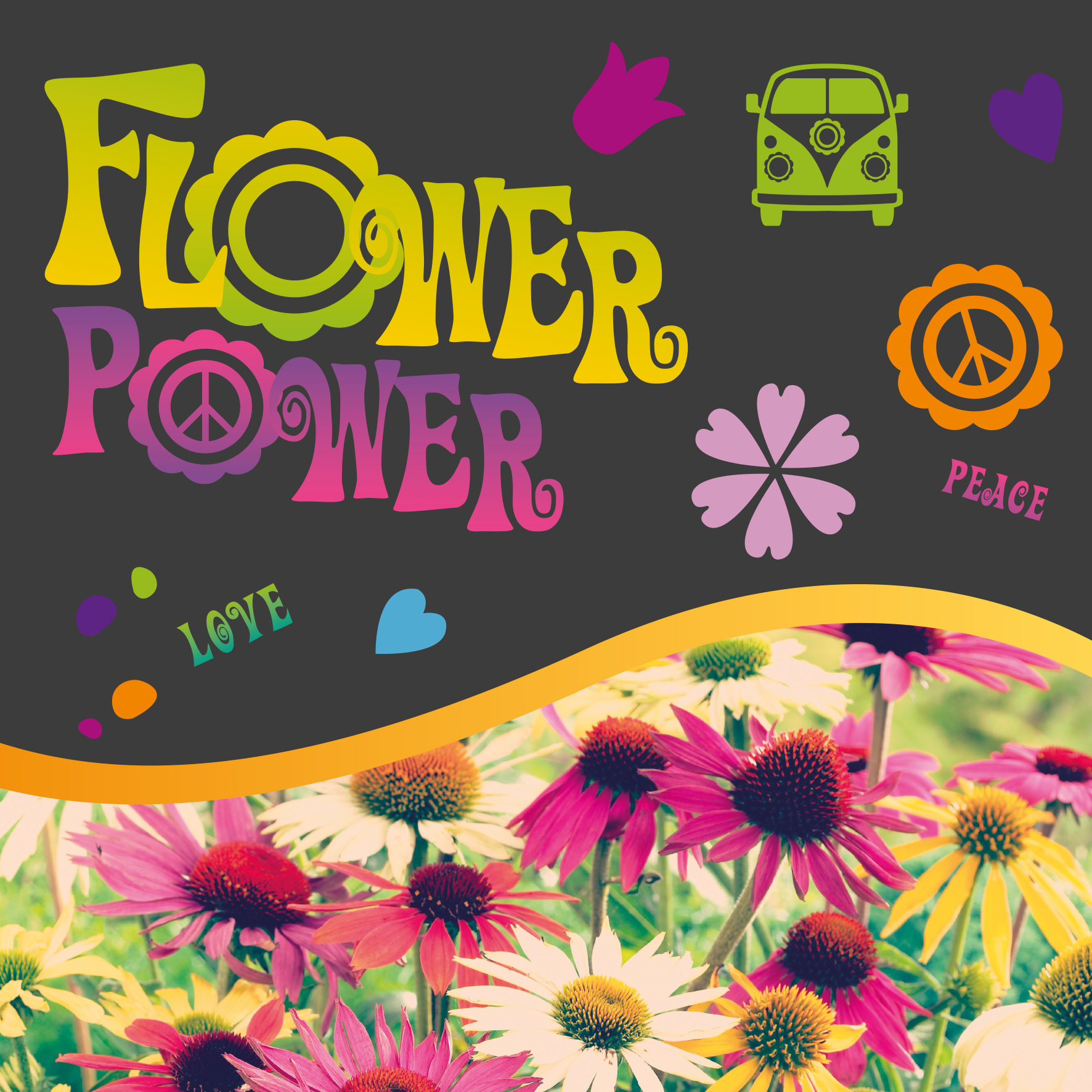 Wholesale - De Ree UK