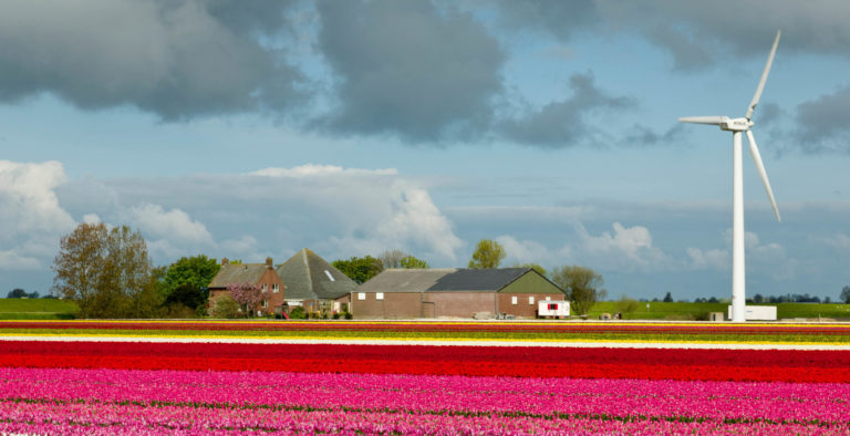 Our Mission - De Ree UK